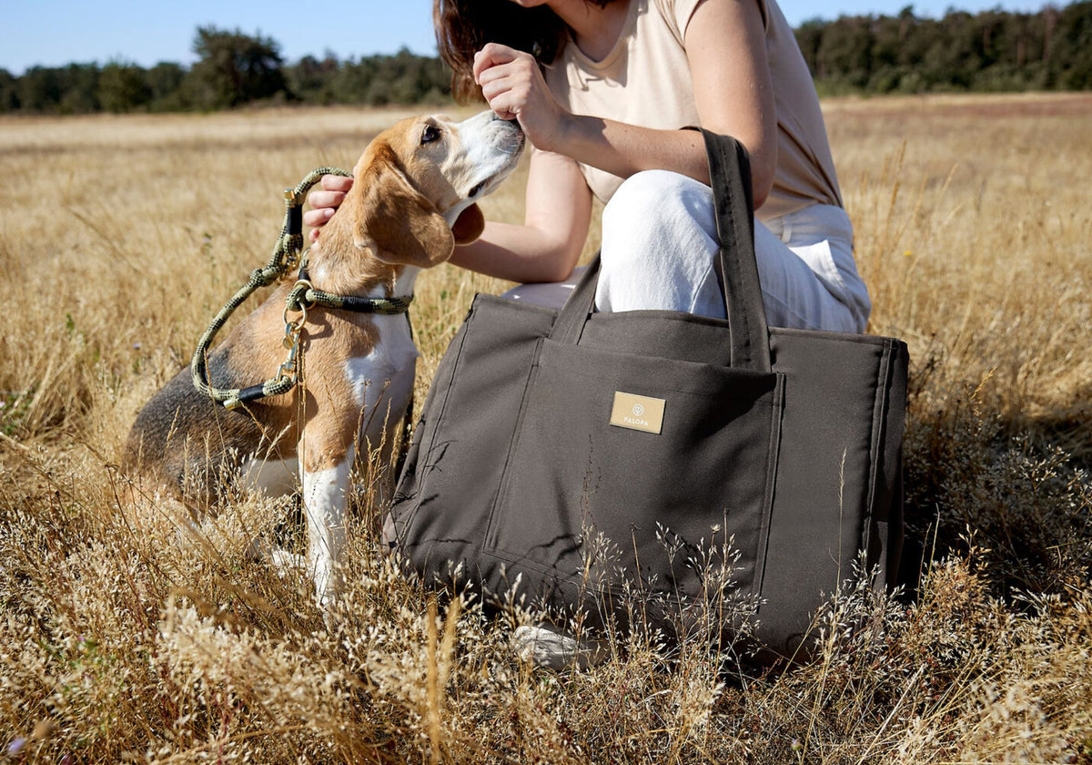 PALOPA Japan（パロパ）オフィシャルサイト